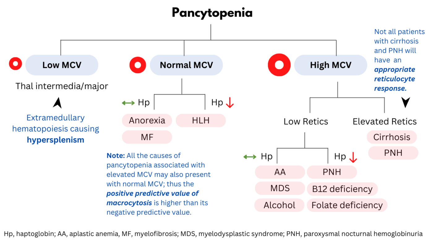 Postscript • The Blood Project