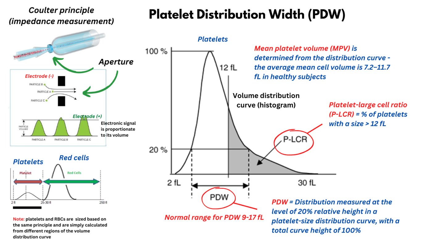 Platelet Distribution Width The Blood Project