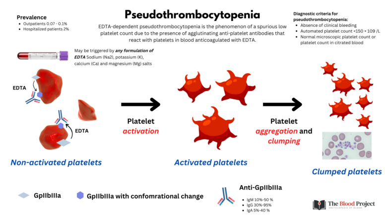 Postscript • The Blood Project