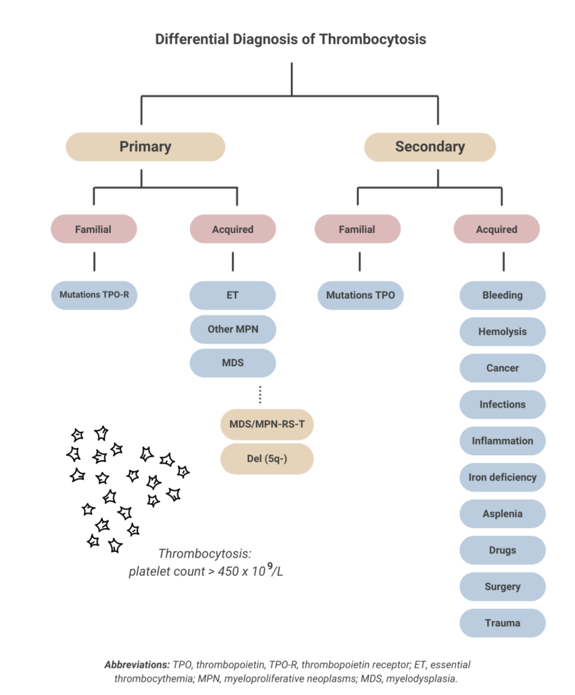 Platelet Count • The Blood Project