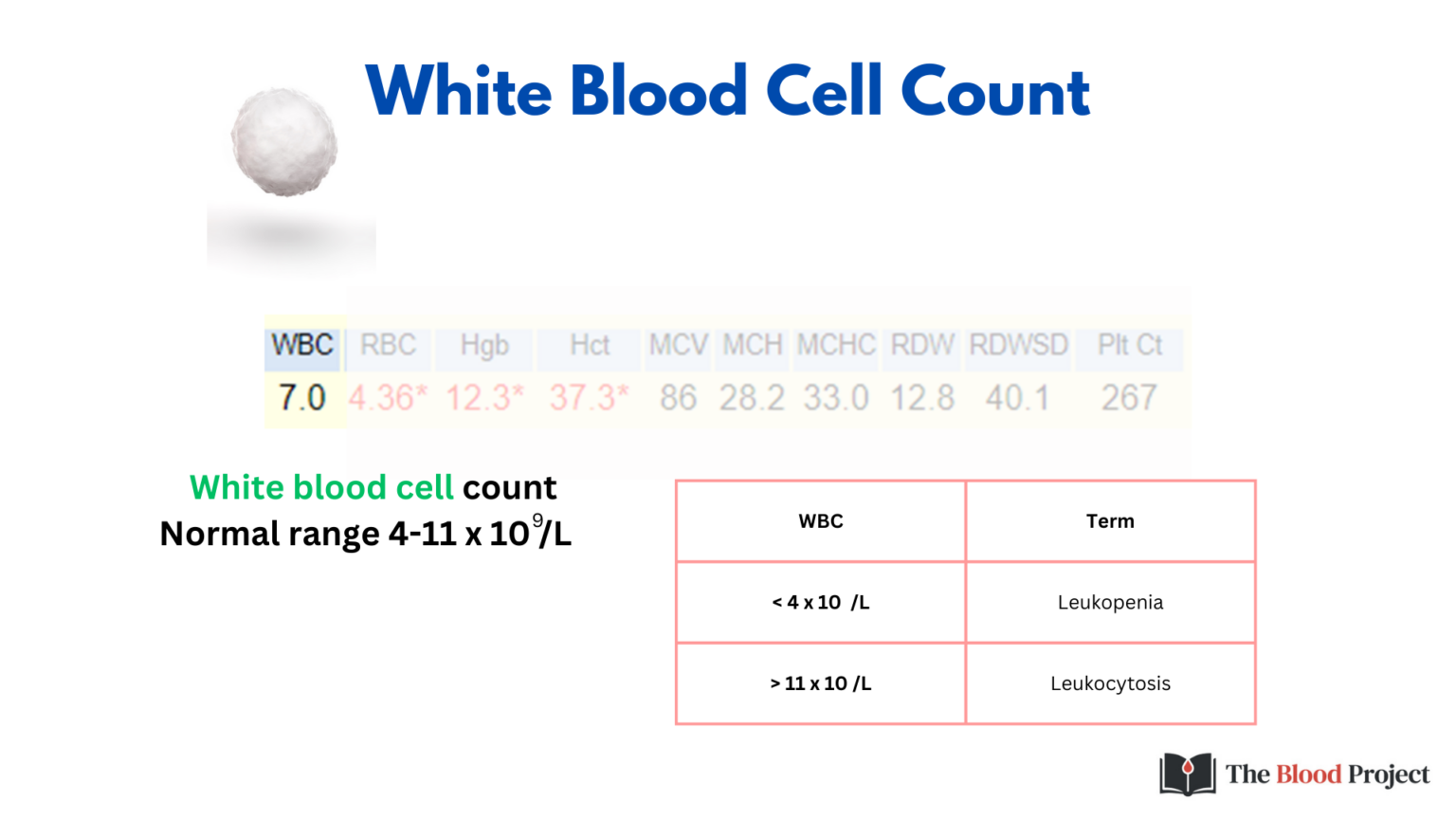 WBC Count • The Blood Project