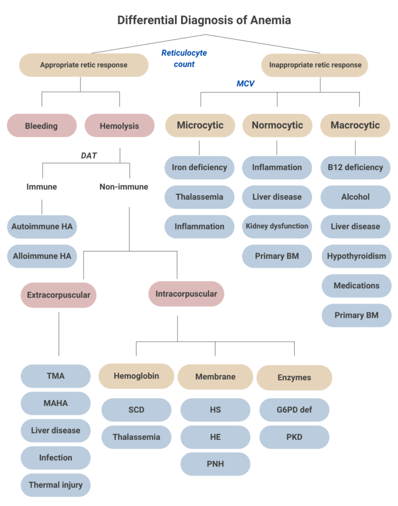 Classification Schemes • The Blood Project