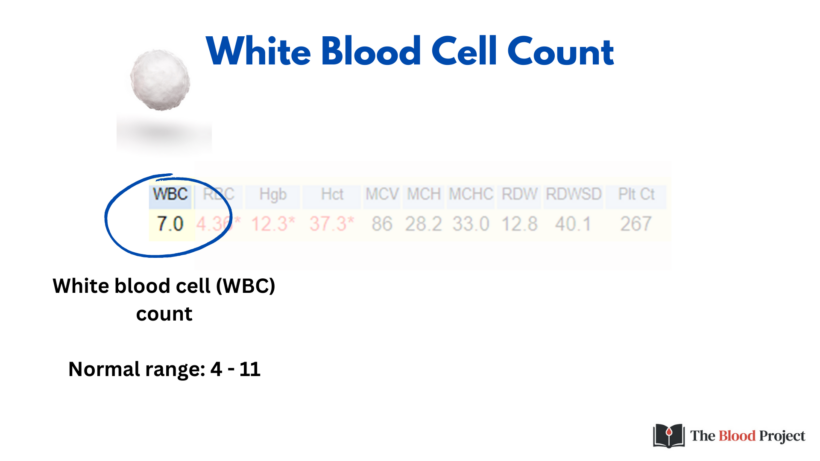 Tutorial • The Blood Project