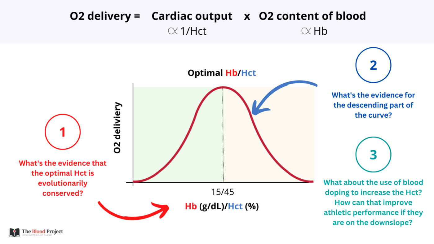 Optimal Hematocrit: Q&A • The Blood Project