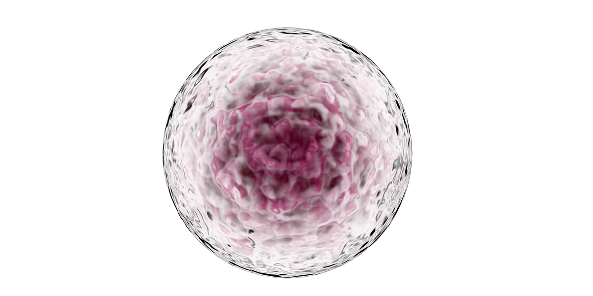 White Blood Cell Differential Counts • The Blood Project