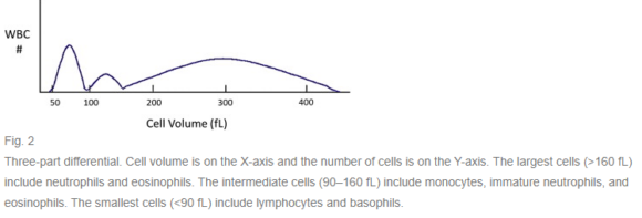 Counting White Blood Cells • The Blood Project