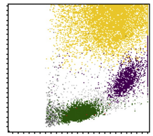 Counting White Blood Cells • The Blood Project