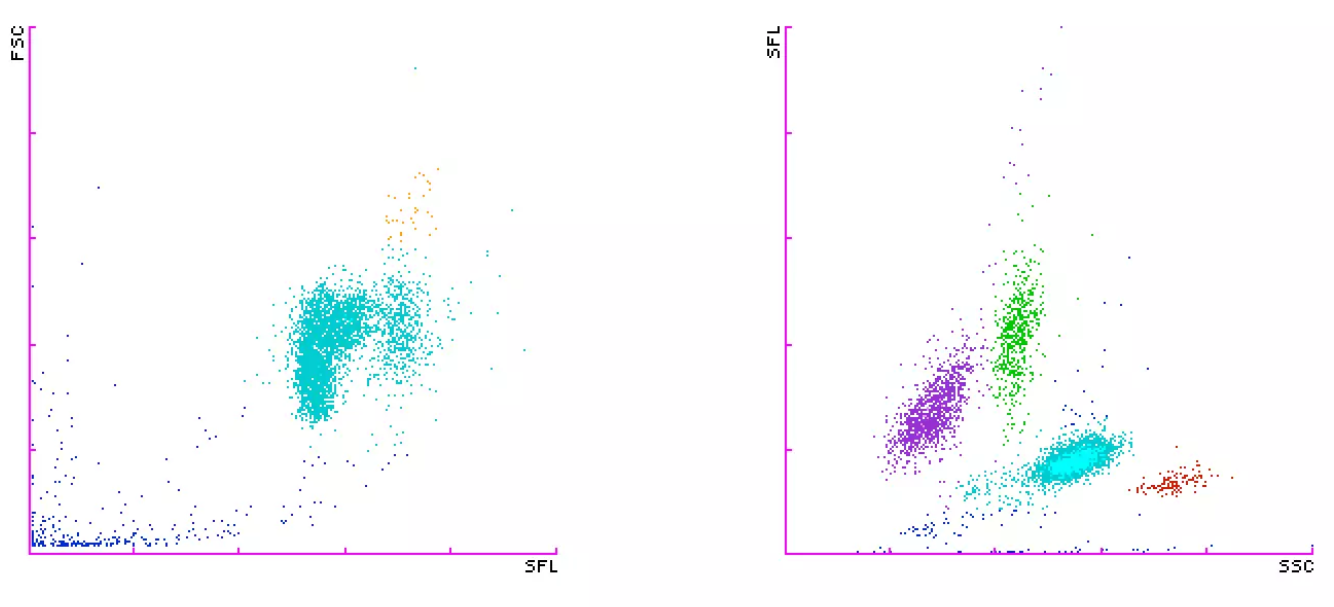 Counting White Blood Cells • The Blood Project
