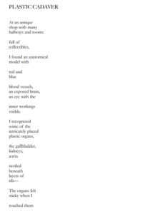 Plastic Cadaver • The Blood Project