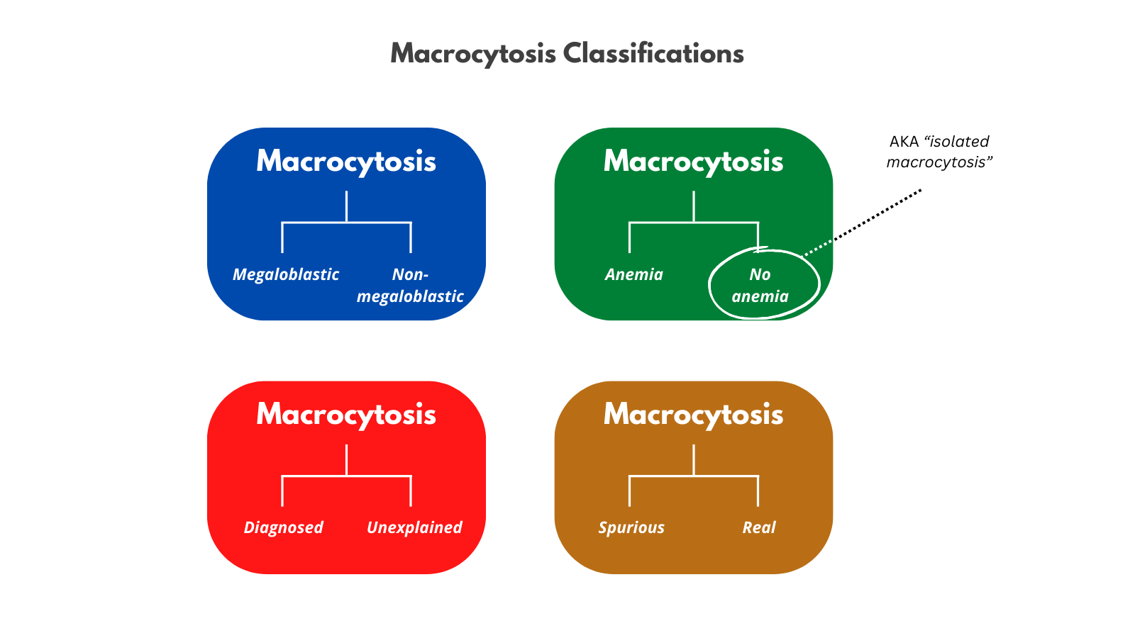 Classification of Macrocytosis • The Blood Project