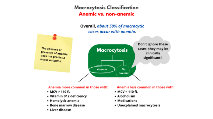 Classification of Macrocytosis • The Blood Project