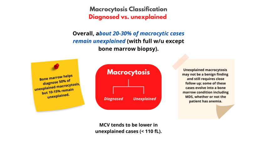 Classification of Macrocytosis • The Blood Project
