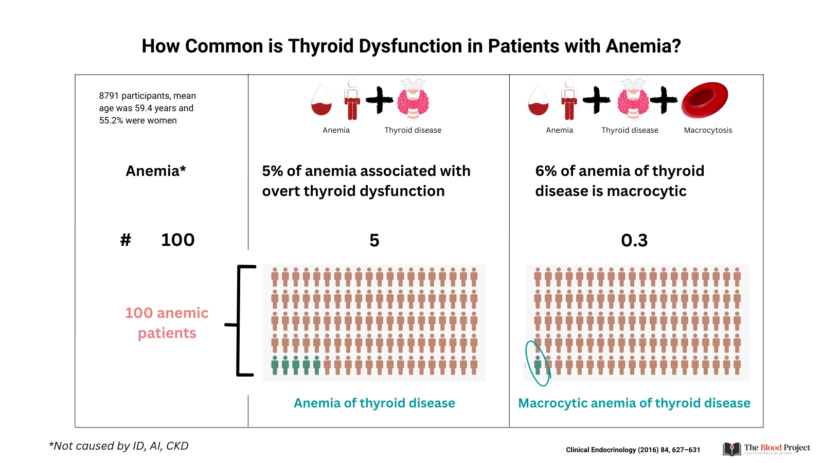 Should I order a TSH in Patient with Anemia? • The Blood Project