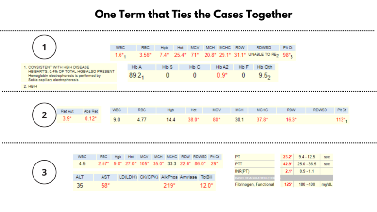 Case Examples • The Blood Project