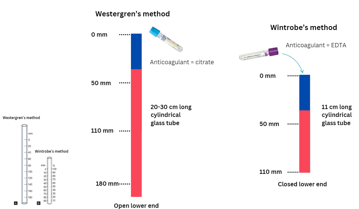 ESR • The Blood Project
