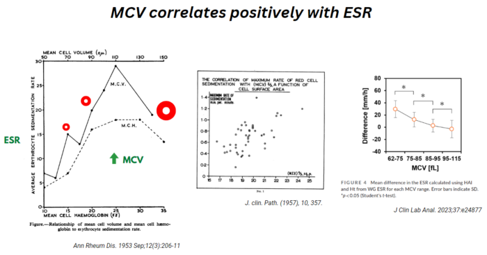 ESR • The Blood Project