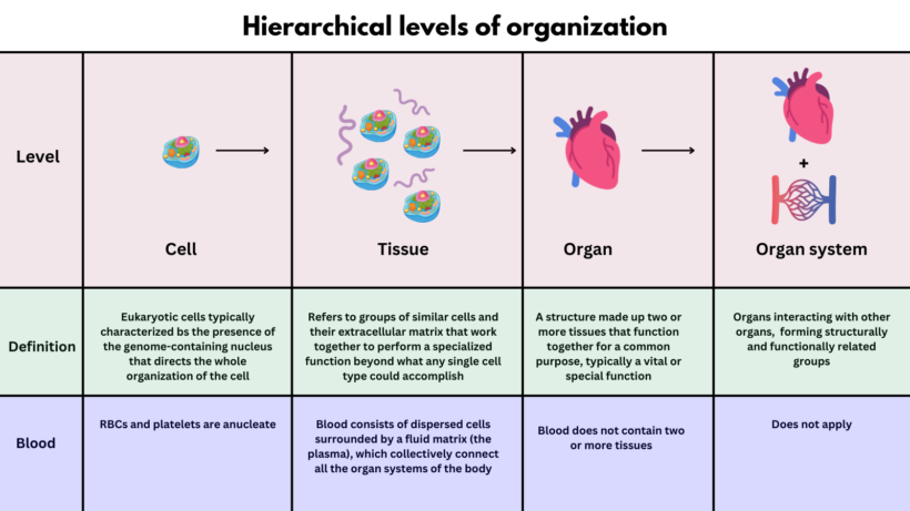 How do we Categorize Blood? • The Blood Project