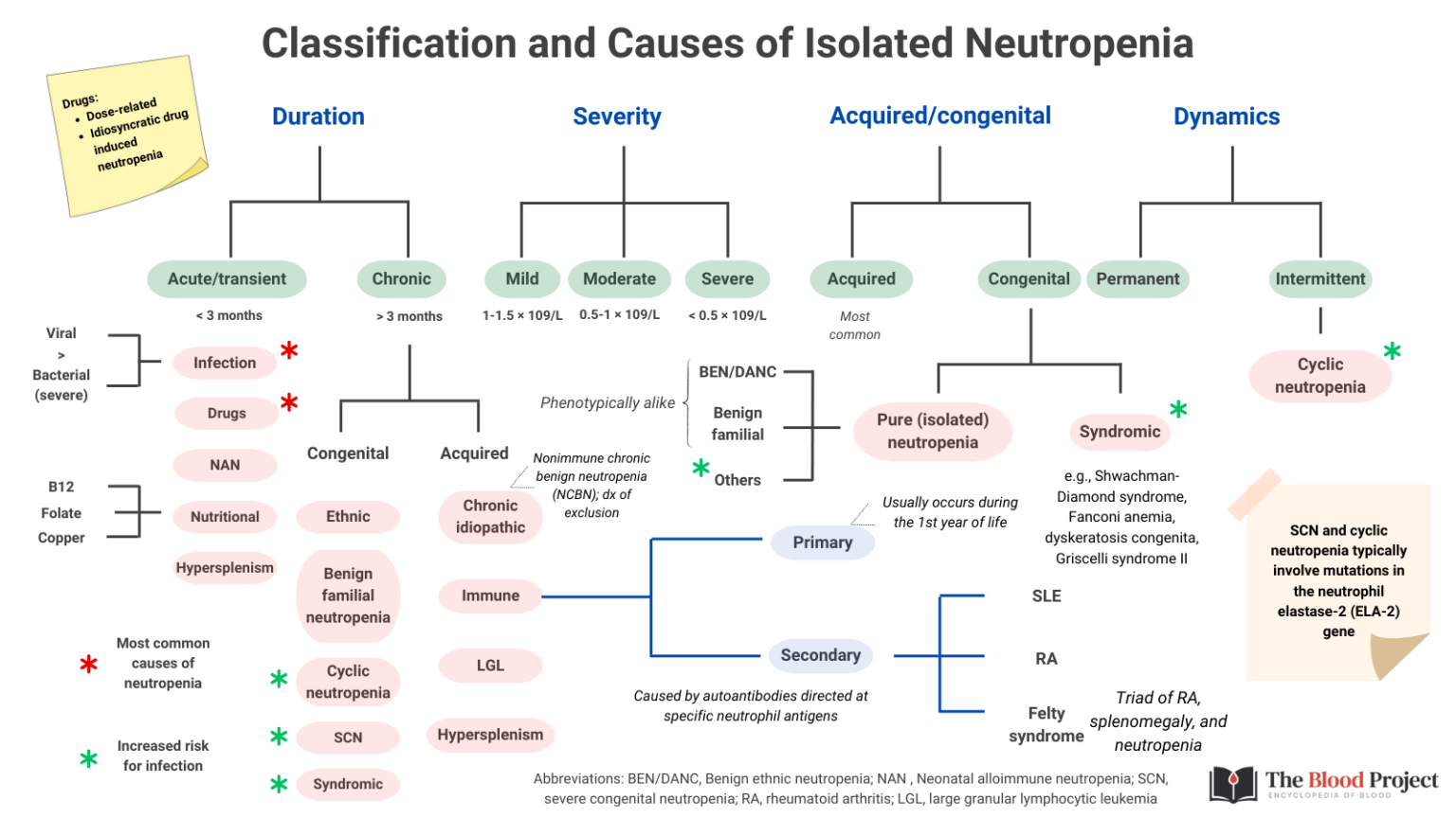 Isolated Neutropenia in the Adult Outpatient - Classification and ...