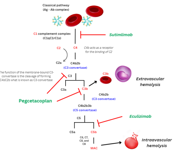 Management of Cold Agglutinin Disease • The Blood Project