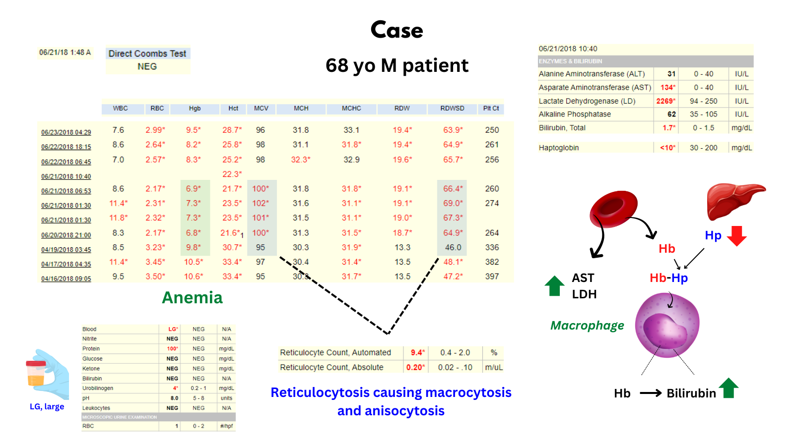 Valve Hemolysis • The Blood Project