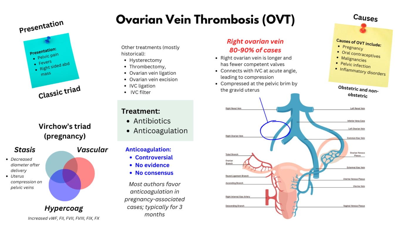 Ovarian Vein Thrombosis • The Blood Project