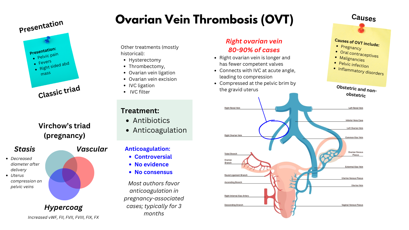 Ovarian Vein Thrombosis • The Blood Project