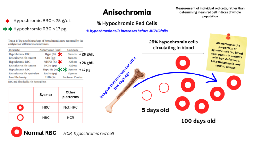 Anisochromia • The Blood Project
