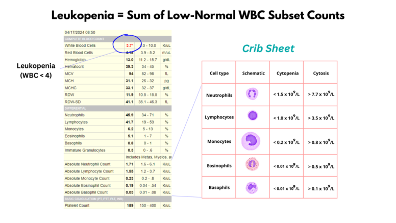 Leukopenia With Normal WBC Differential • The Blood Project
