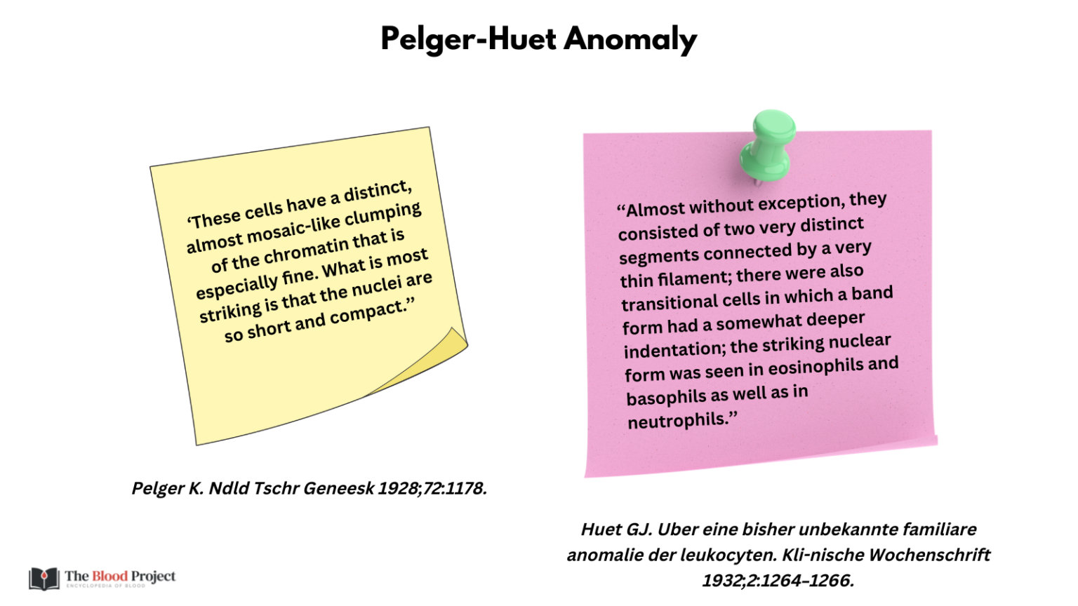 Eponym - Pelger-Huet Anomaly • The Blood Project