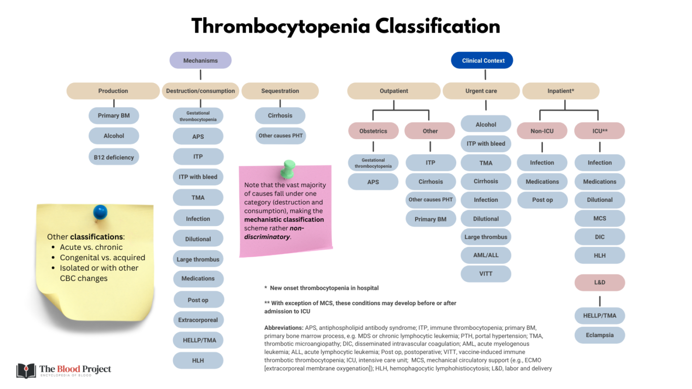 Classification of Thrombocytopenia • The Blood Project