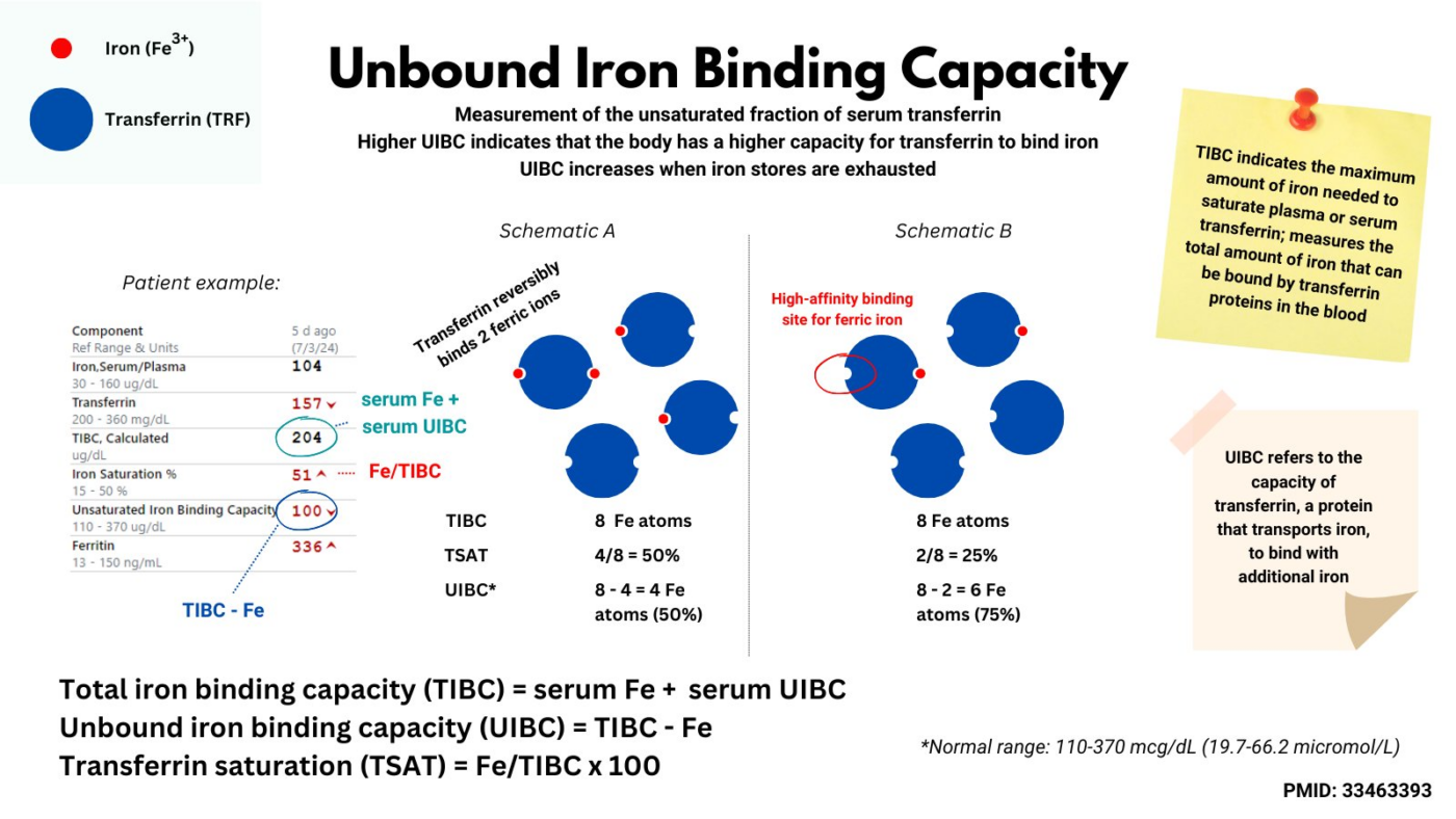Unbound Iron Binding Capacity • The Blood Project