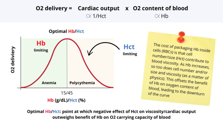 Relationship Between RBC Indices • The Blood Project