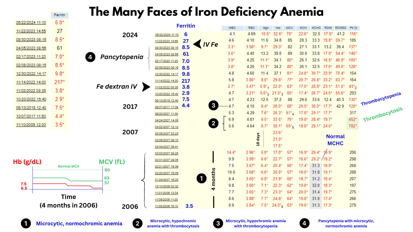 The Many (Lab) Faces of IDA • The Blood Project