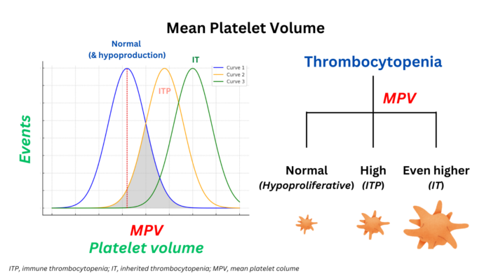 Mean Platelet Volume • The Blood Project