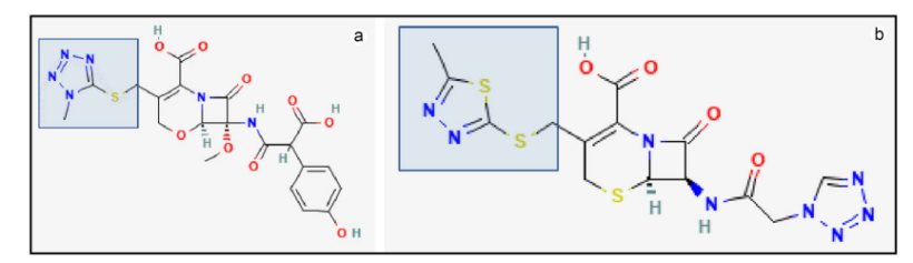 Cephalosporin-Induced Coagulopathy • The Blood Project