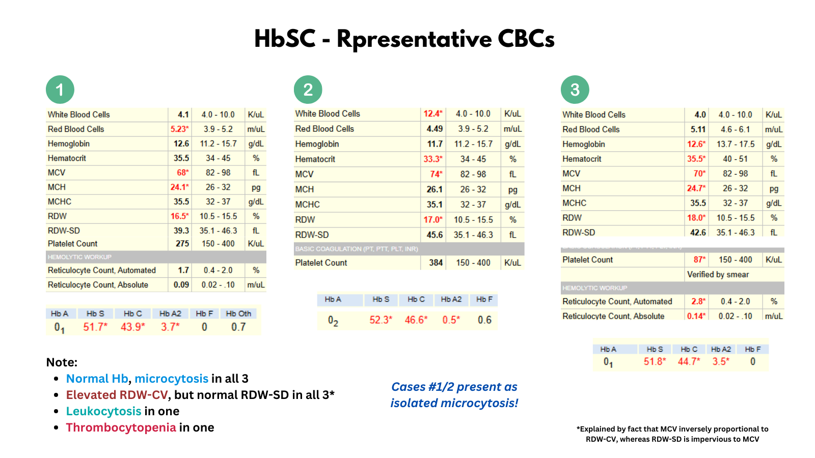 HbSC Disease • The Blood Project