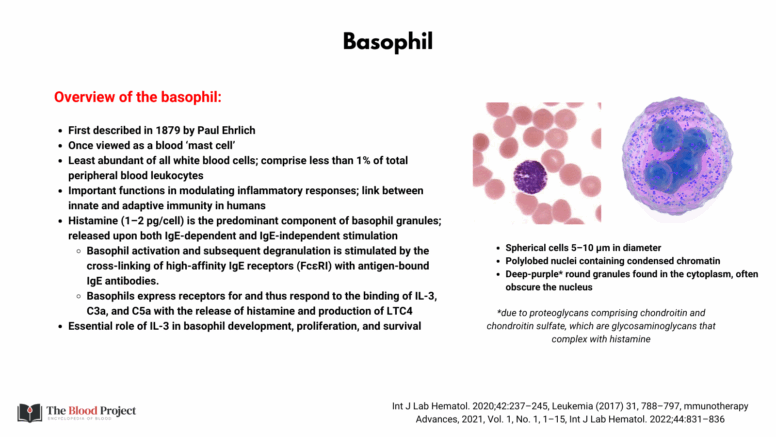 Basophilia • The Blood Project