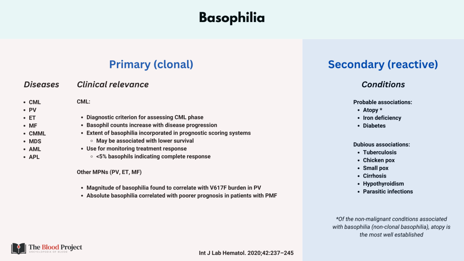 Basophilia • The Blood Project