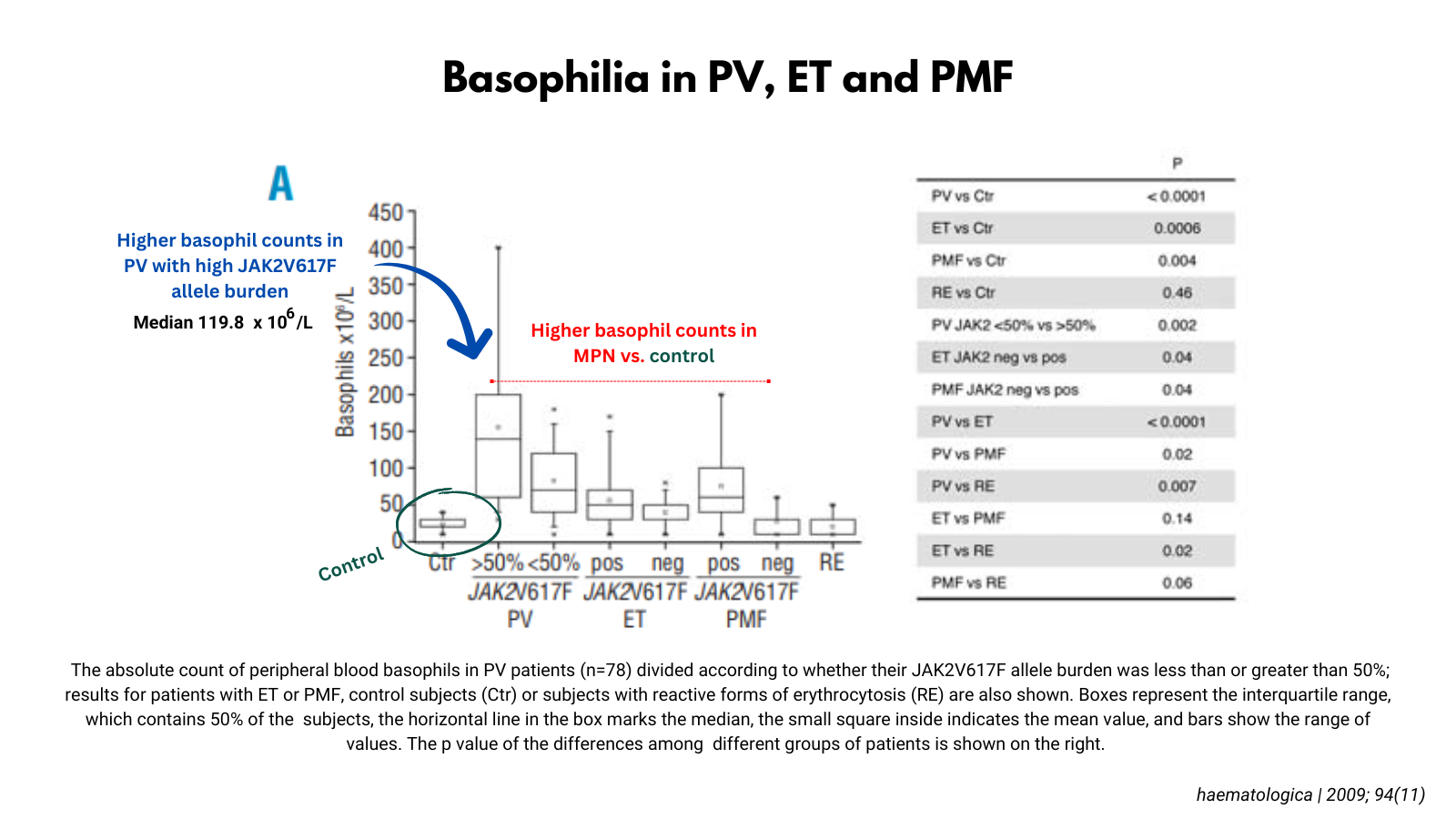 Basophilia • The Blood Project