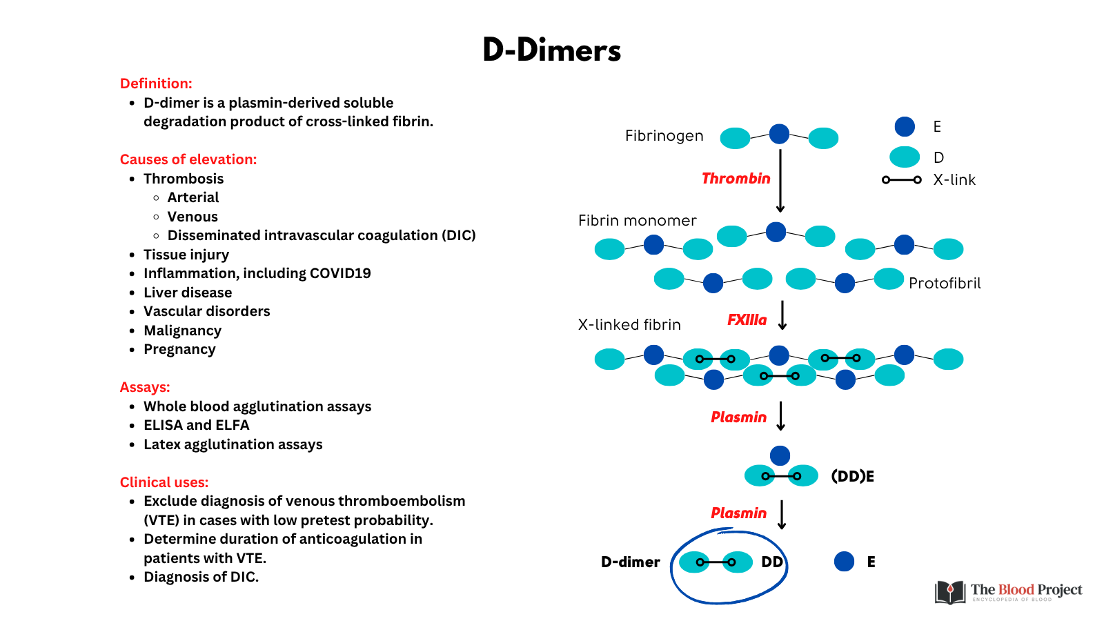 D-Dimers • The Blood Project
