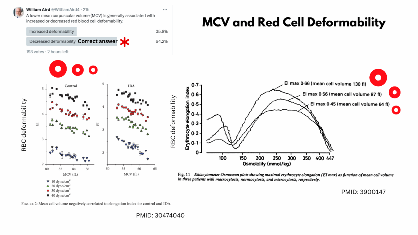 Red Cell Deformability and Oxygen Delivery • The Blood Project