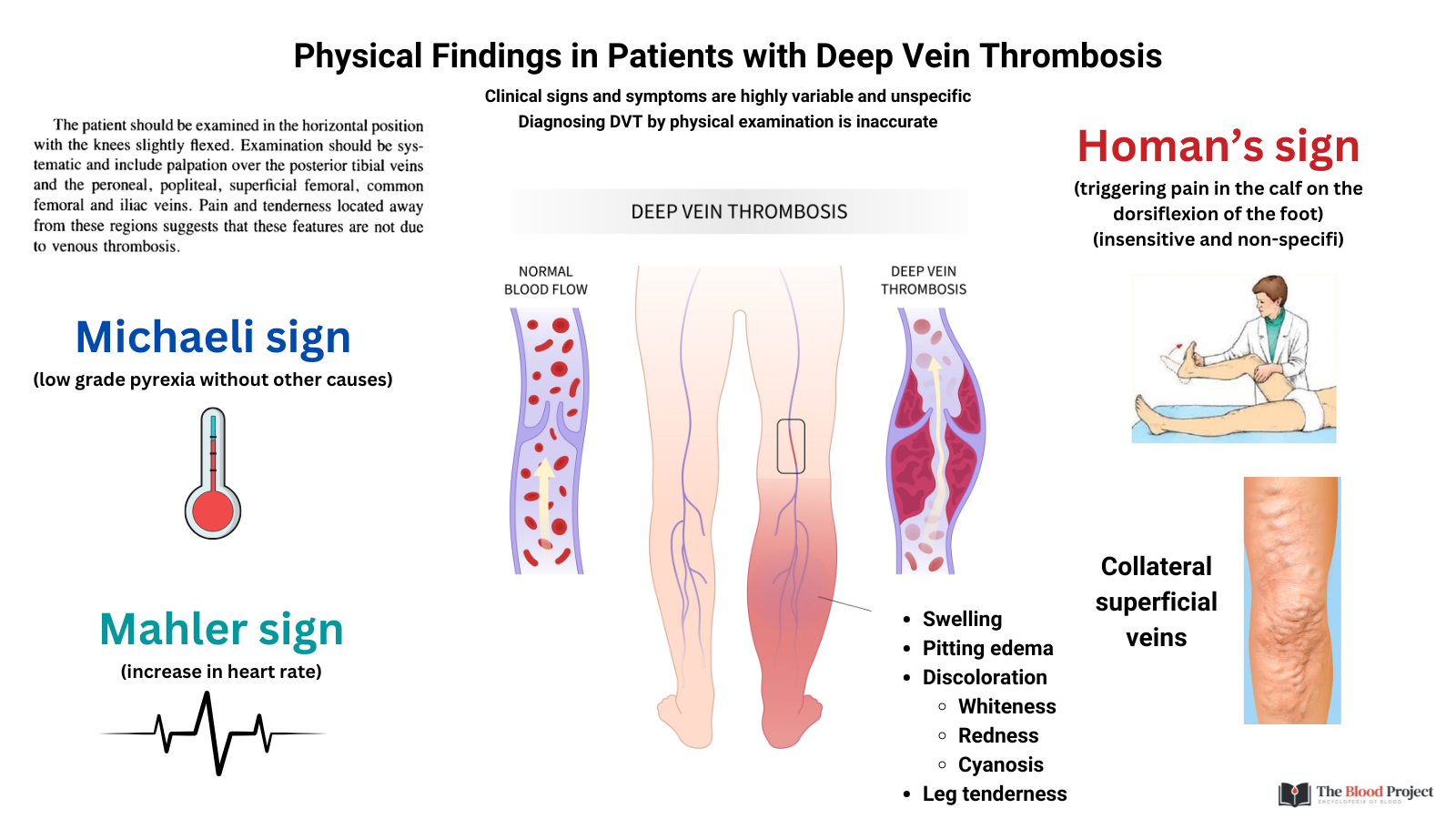 Physical Exam in Patients with Deep Vein Thrombosis • The Blood Project
