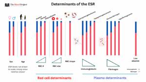 Erythrocyte Sedimentation Rate • The Blood Project