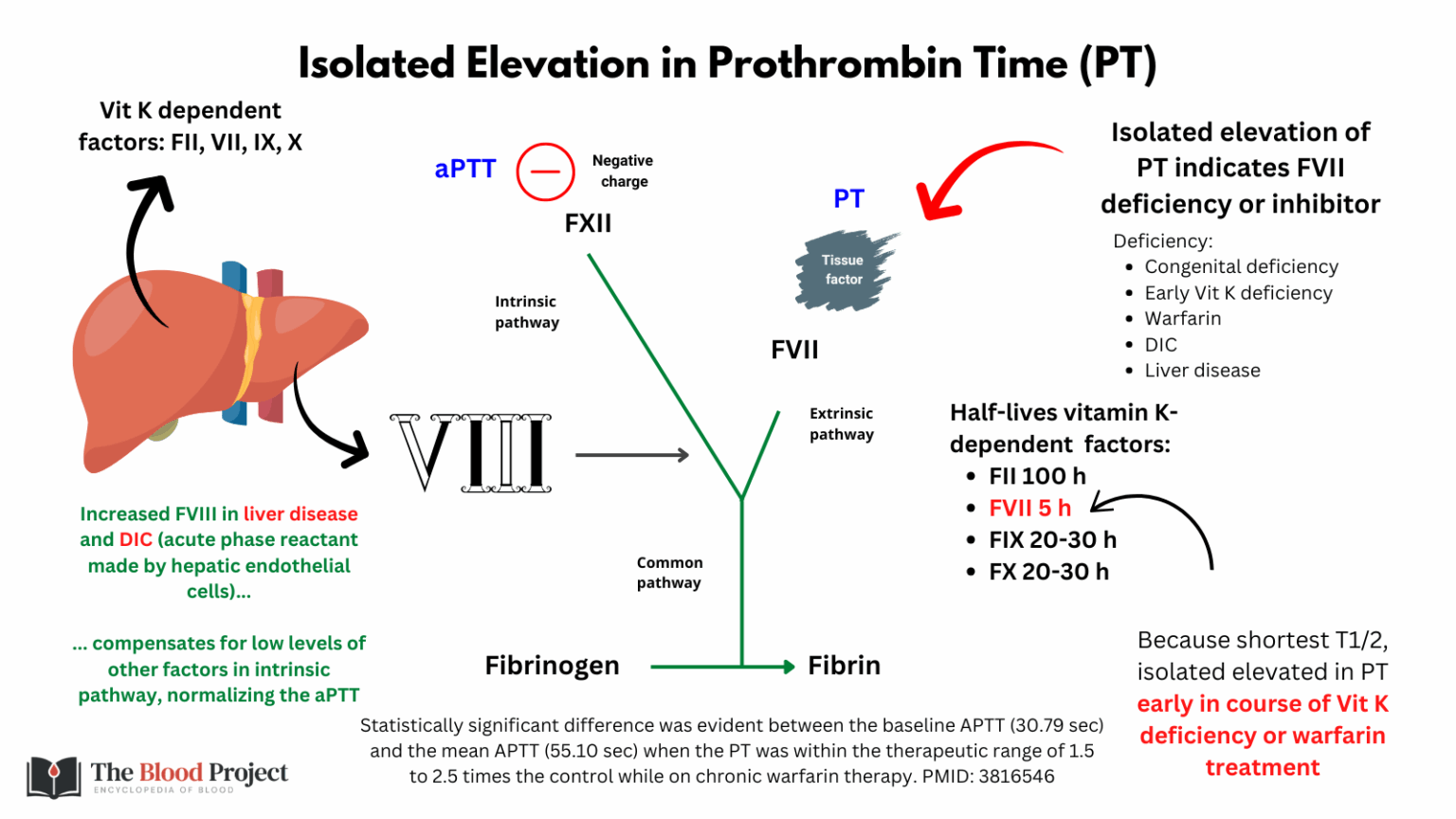 Isolated Elevation in Prothrombin Time (PT) • The Blood Project