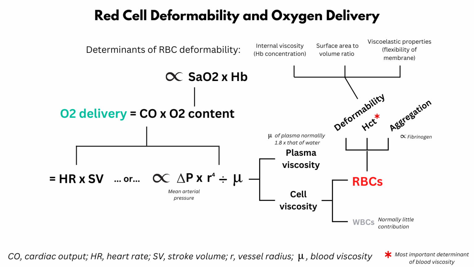 Red Cell Deformability and Oxygen Delivery • The Blood Project