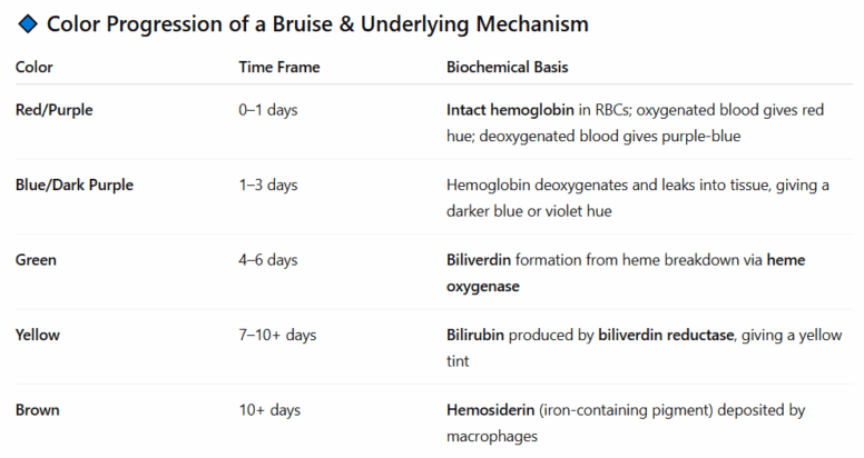 Bruises • The Blood Project
