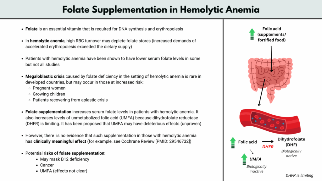 Folate Supplementation in Hemolytic Anemia • The Blood Project