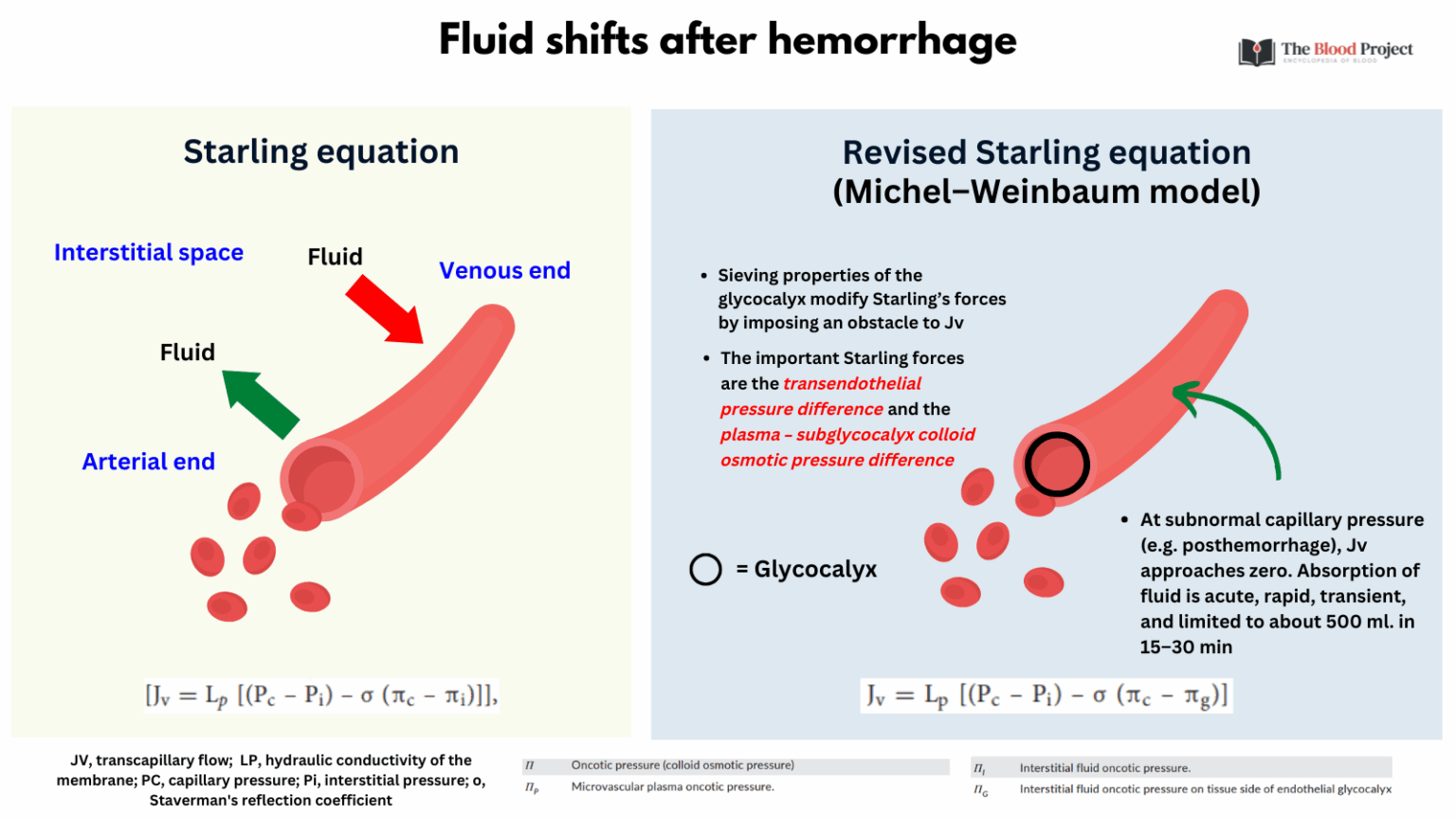 Fluid Shifts After Hemorrhage • The Blood Project