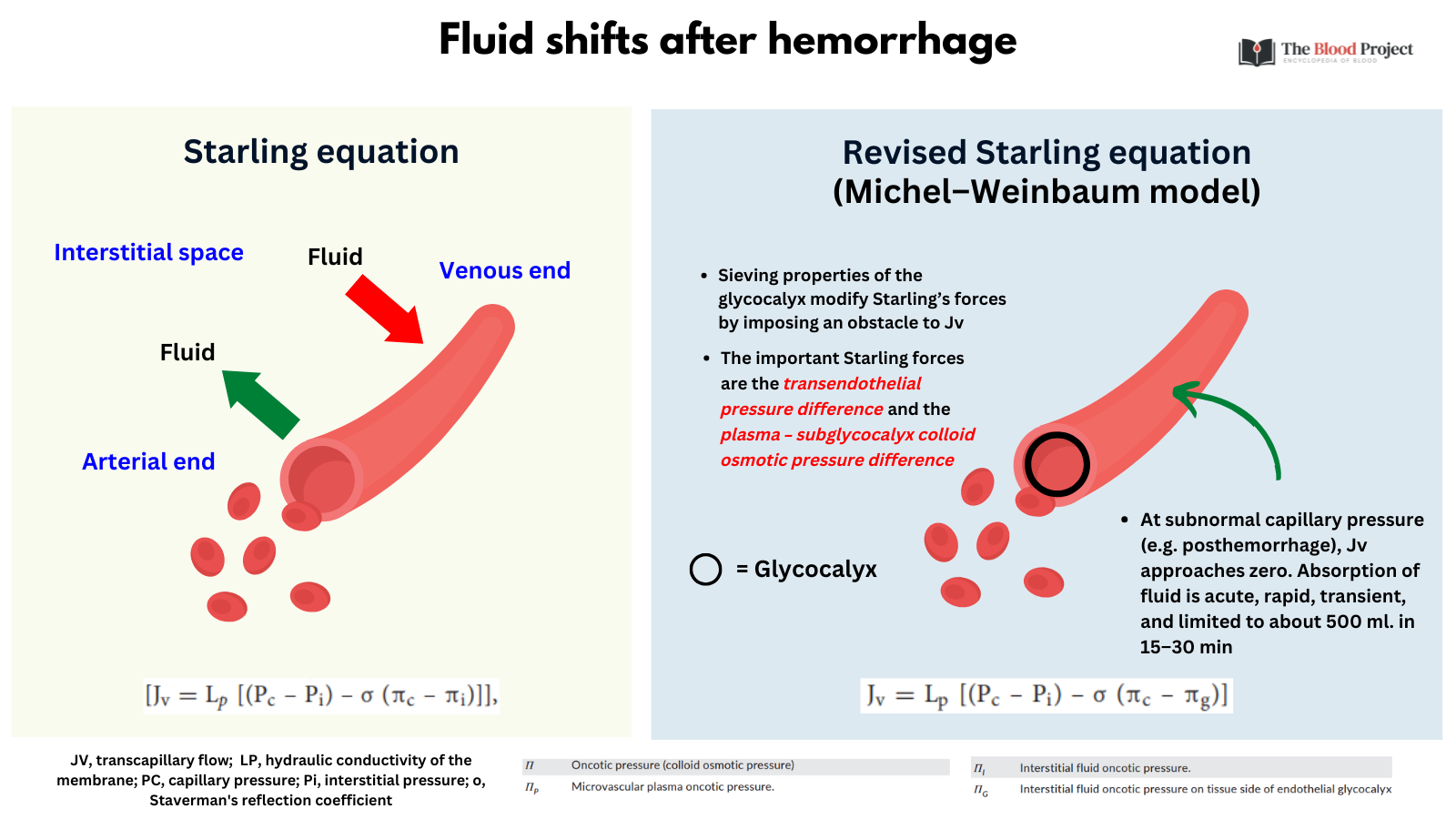 Fluid Shifts After Hemorrhage • The Blood Project