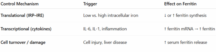 Serum Ferritin Levels • The Blood Project